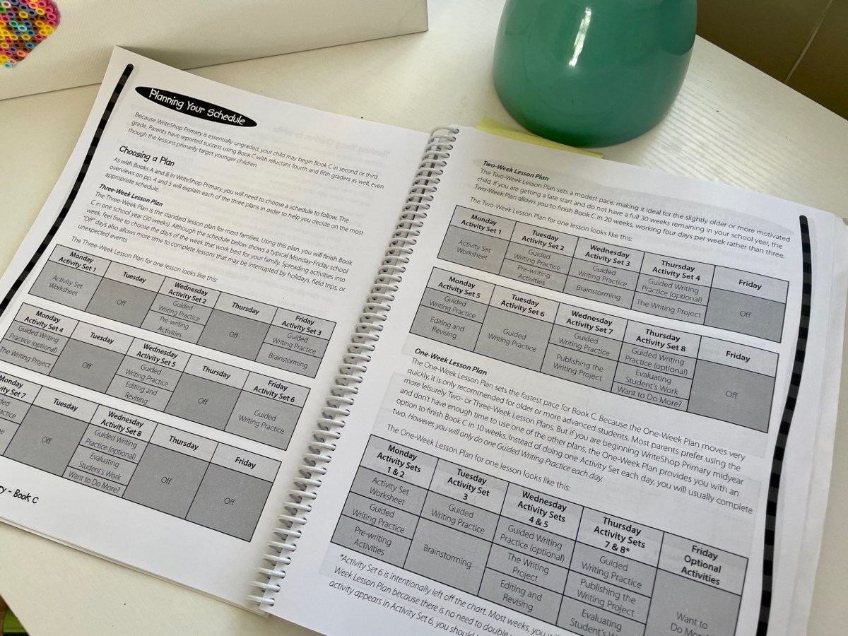 First Grade Curriculum: Top Choices for Our Homeschool!