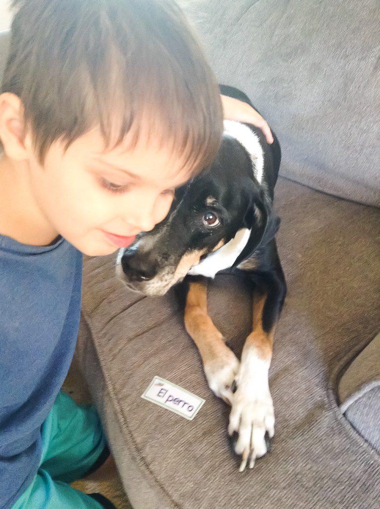 Fun & Interactive Homeschool Spanish Curriculum! - The Homeschool ...