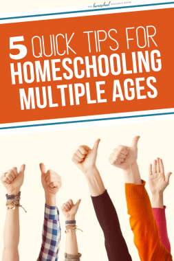 Multigrade Teaching: 5 Strategies for Making it Work - The Homeschool ...