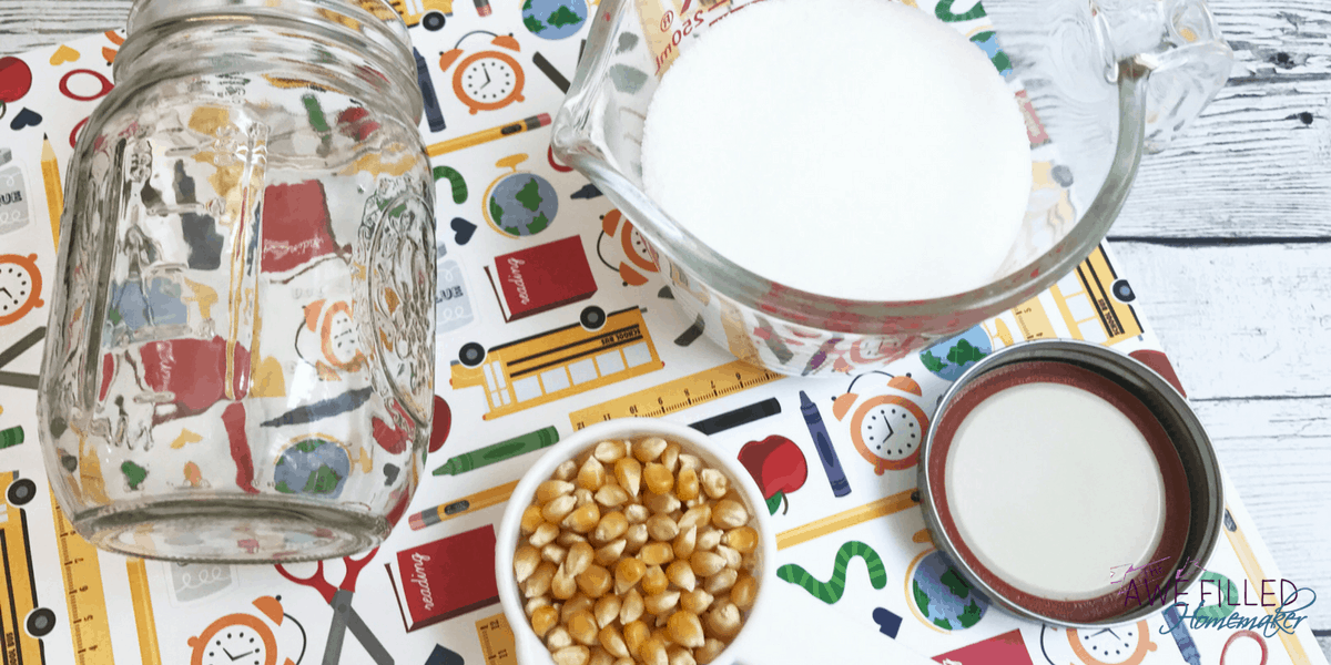 Fall STEM Activities: 10 FUN, Hands-on Projects for Autumn!