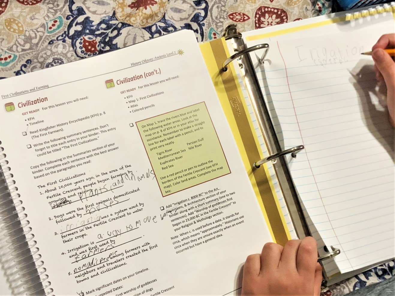 Pandia Press Review: A look at Real Science Odyssey & History Odyssey