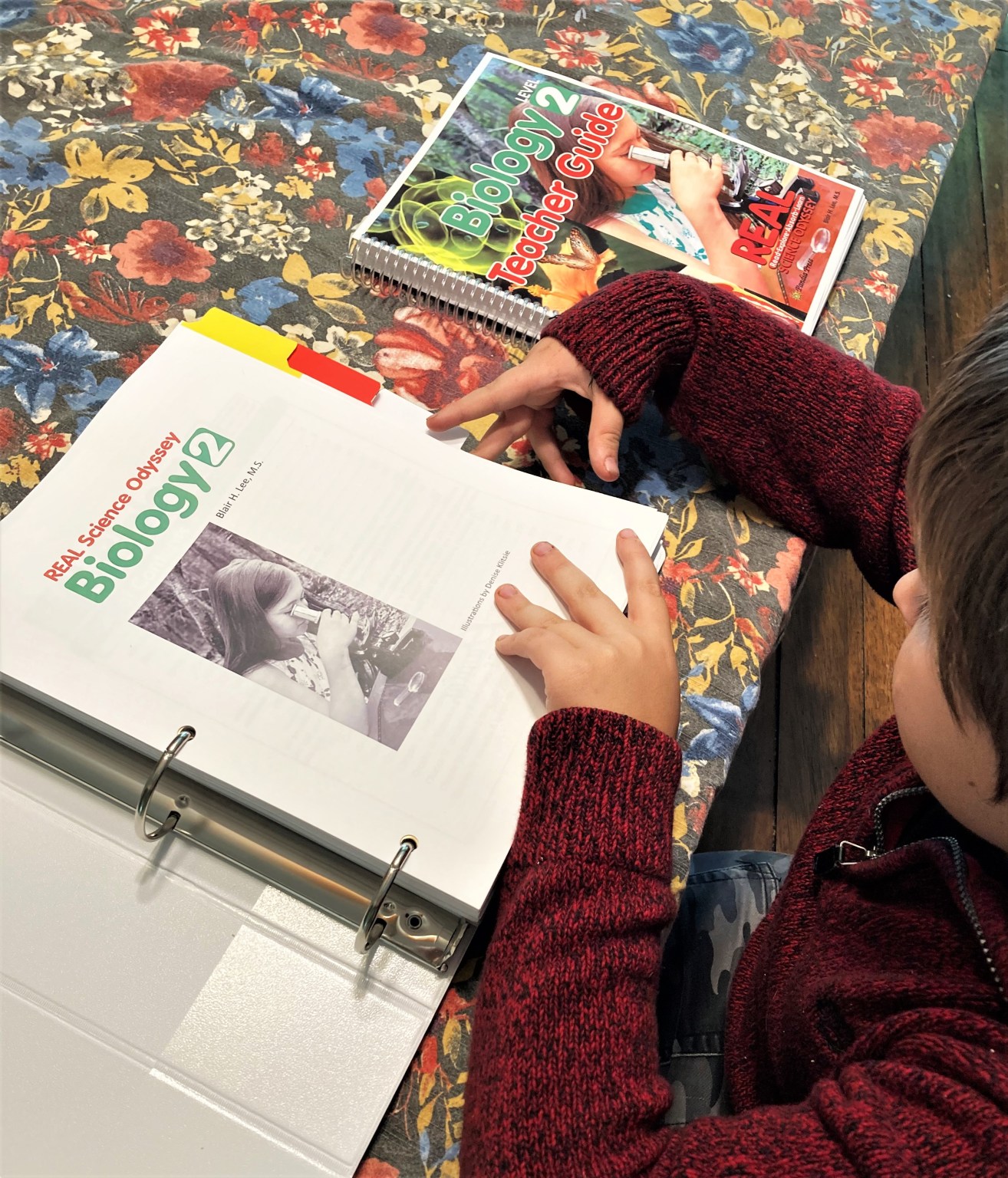 Pandia Press Review: A look at Real Science Odyssey & History Odyssey