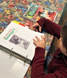 Pandia Press Review: A look at Real Science Odyssey & History Odyssey