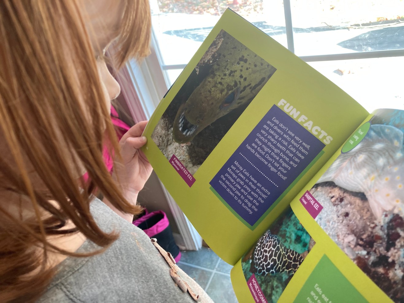 Books about Marine Life for Kids! - The Homeschool Resource Room