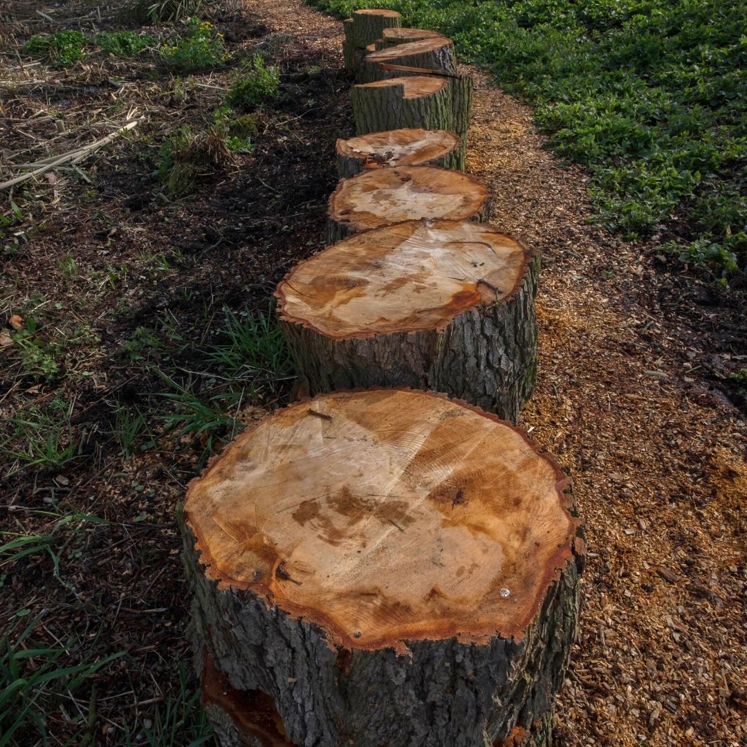 Backyard Natural Playground: A Space for Experimentation & Play