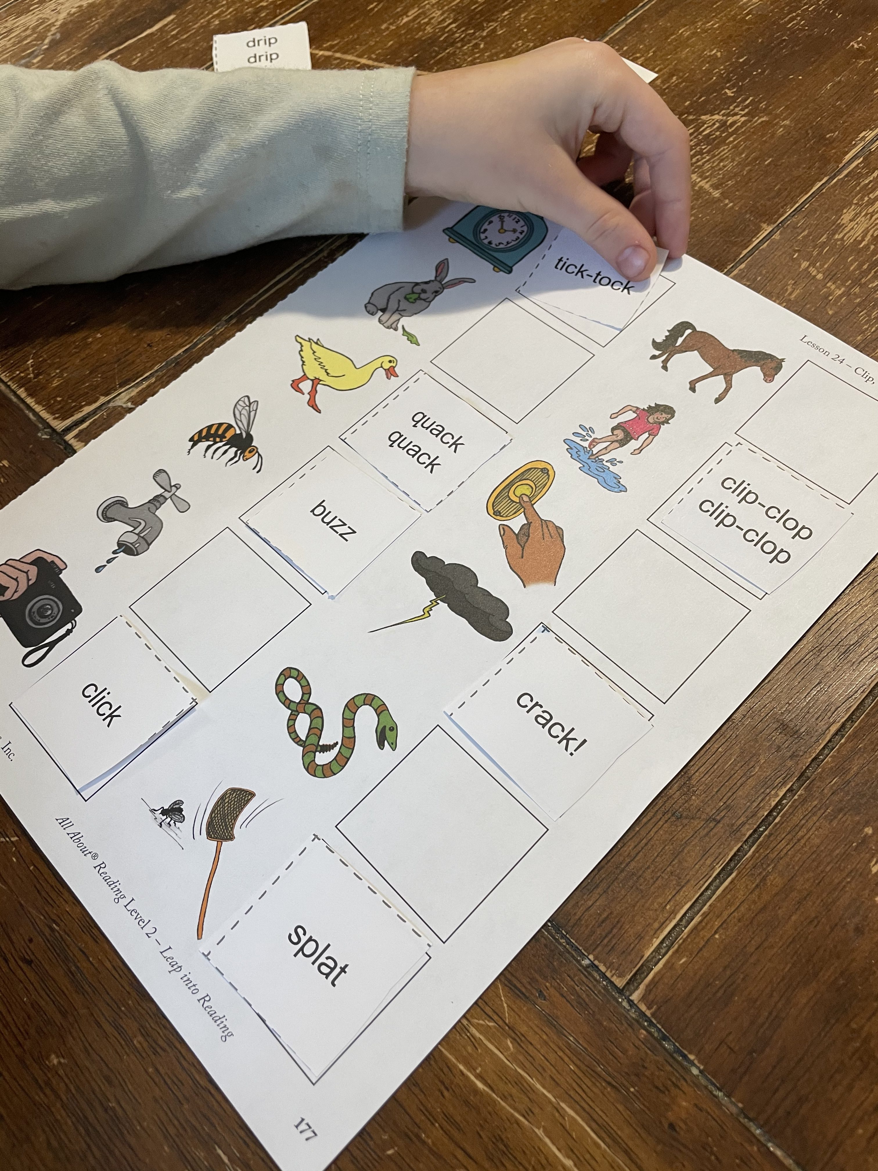 Phonics Curriculum: Compare 10 Top Homeschool Programs