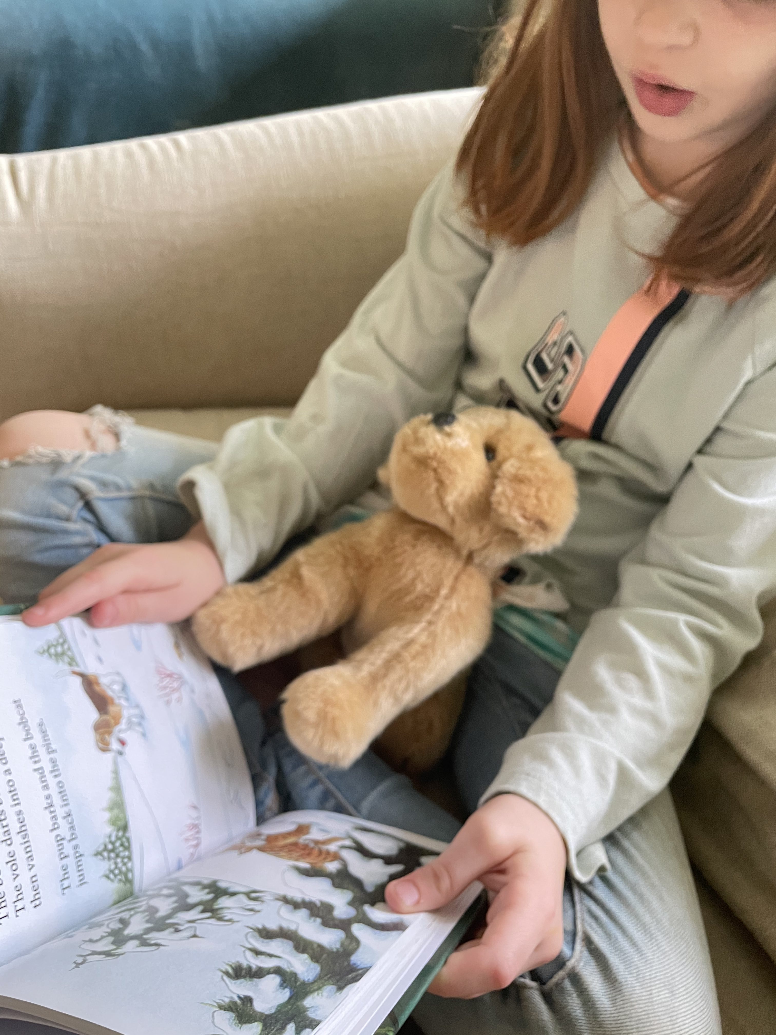 Phonics Curriculum: Compare 10 Top Homeschool Programs